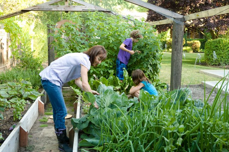 About – Growing Health with Laura Halpin